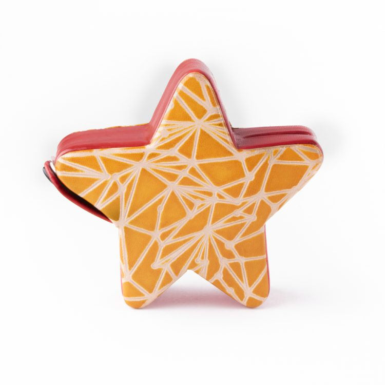 Star Money Box – Tawa Books & Post