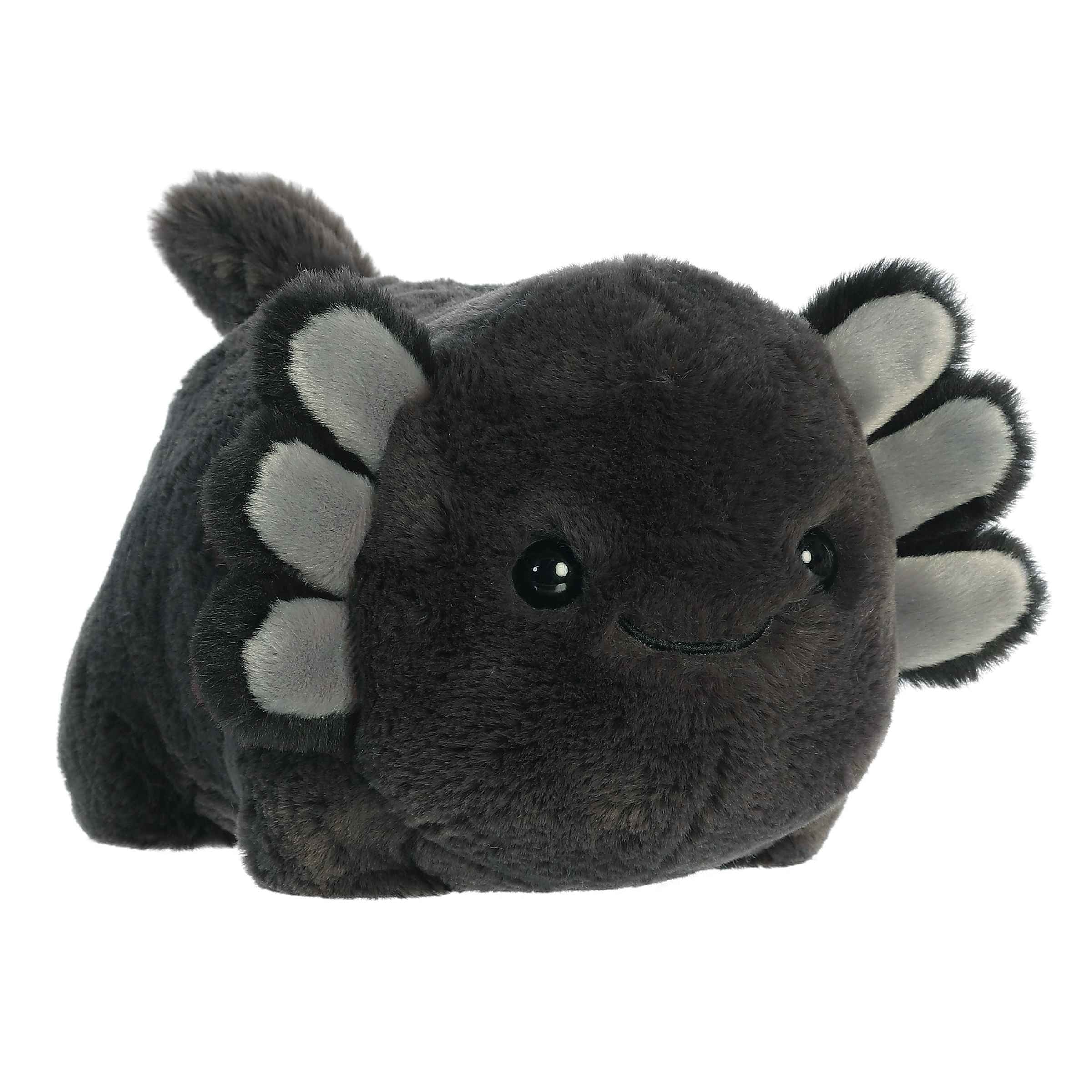 Spudster Ally Black Axolotl – Tawa Books & Post