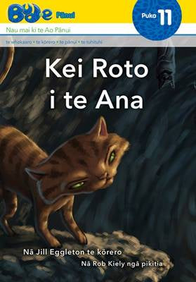Kei Roto i te Ana – Tawa Books & Post